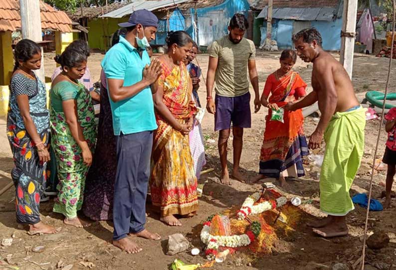 Monkey death | தெரு நாய்கள் கடித்து குதறியதில் குரங்கு சாவு