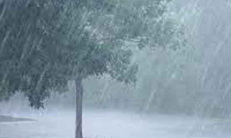 43.6 mm of rainfall was recorded in Palamore The water level of ...