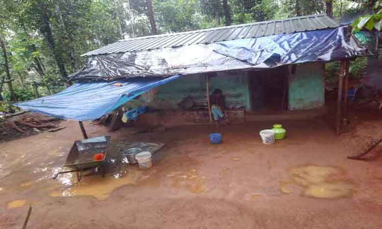 Indigenous people suffering without drinking water | குடிநீர் இன்றி ...