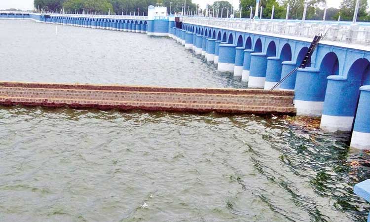 Cultivation of curry: Water opening from kallanai tomorrow | குறுவை ...
