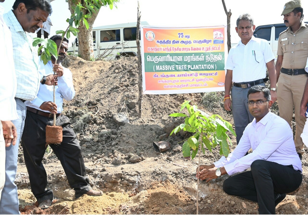 Sapling planting ceremony | மரக்கன்றுகள் நடும் விழா