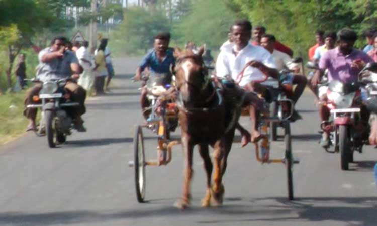 Cow cart, horse cart race | மாட்டு வண்டி, குதிரை வண்டி பந்தயம்