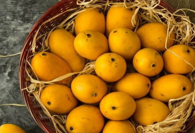 Is it okay to eat mango at night? | இரவு நேரத்தில் மாம்பழம் சாப்பிடலாமா?
