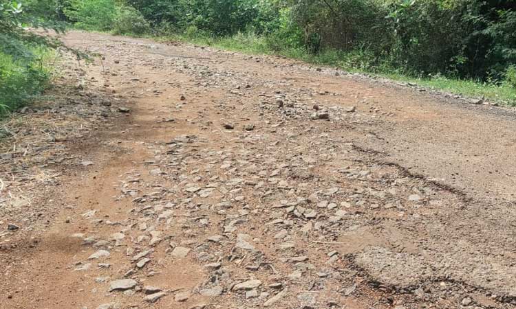 Road that looks bumpy and bumpy | குண்டும், குழியுமாக காணப்படும் சாலை