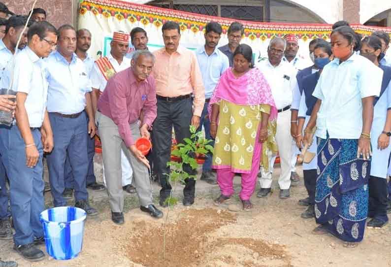 Sapling planting ceremony | மரக்கன்று நடும் விழா