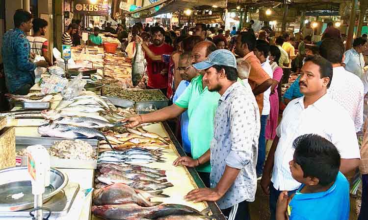 Increase in fish prices in Vellore market | வேலூர் மார்க்கெட்டில் ...