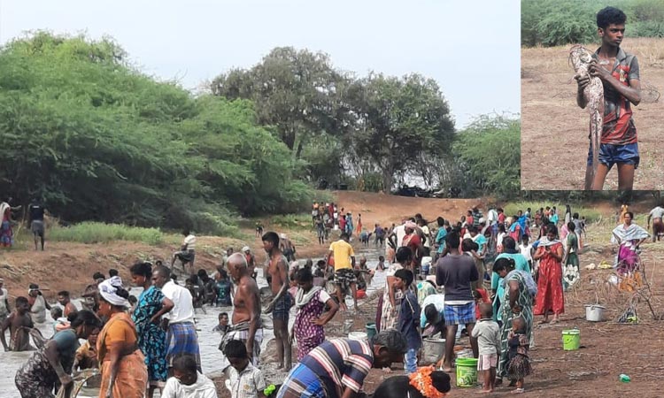 Traditional fishing festival near Mudukulathur | முதுகுளத்தூர் அருகே ...