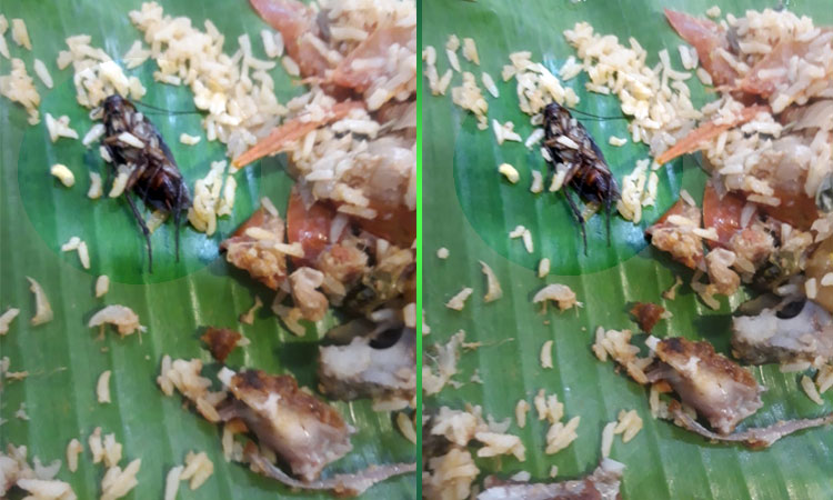 Customers shocked to find cockroach in biryani. | பிரியாணியில் கரப்பான் ...