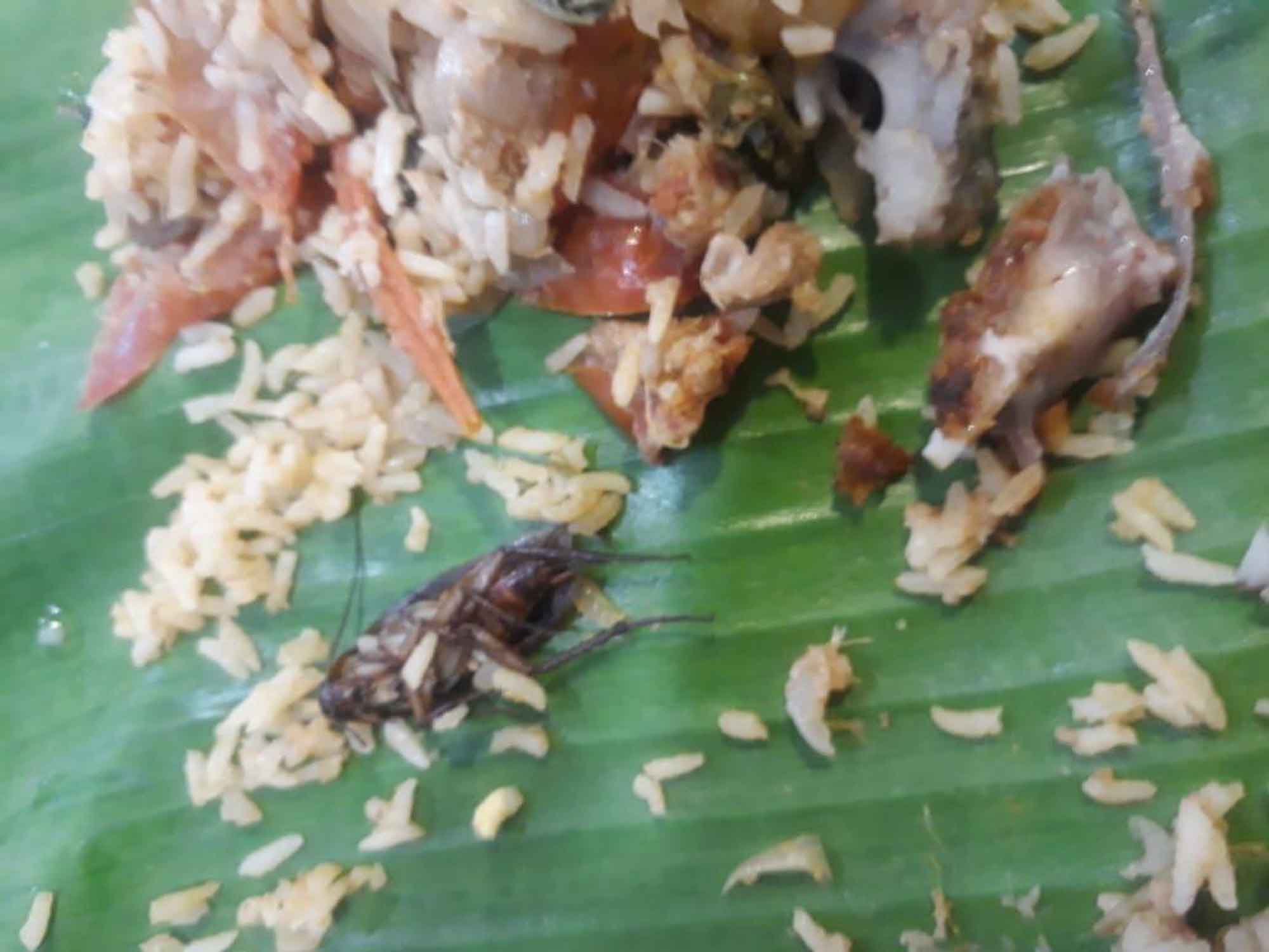 Cockroach in biryani served to customer | வாடிக்கையாளருக்கு பரிமாறிய ...