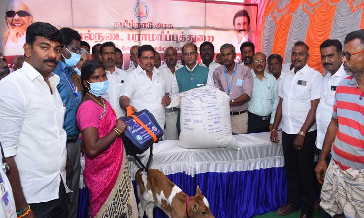 Chief Minister M.K. On Stalin's advice 1089 Veterinarians have been ...