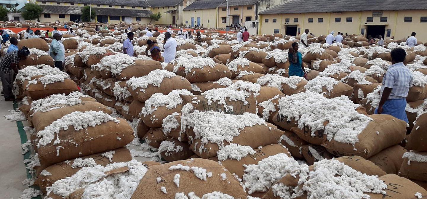 cotton tender | நாமக்கல்லில் ரூ.1 கோடியே 35 லட்சத்துக்கு பருத்தி ஏலம்