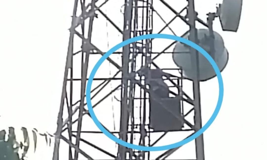 Teen protest by climbing cell phone tower and standing upside down for ...