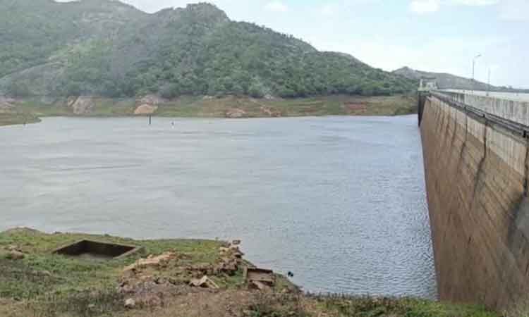 Adavinayanar dam water level rise | அடவிநயினார் அணை நீர்மட்டம் உயர்வு