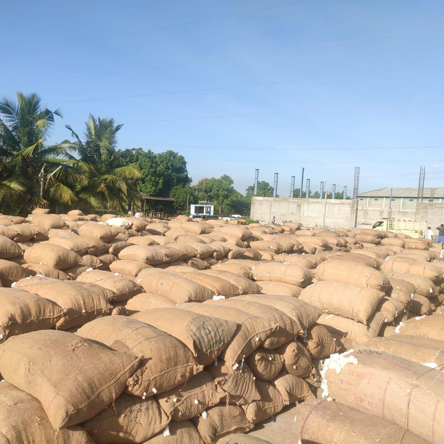 cotton tender | ராசிபுரத்தில் ரூ.1.20 கோடிக்கு பருத்தி ஏலம்