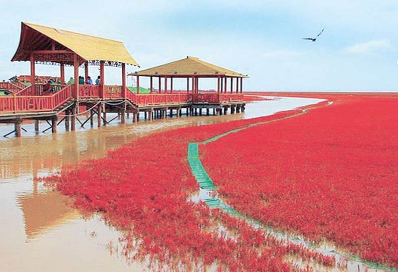 Red Beach | சிவப்புக் கடற்கரை..!