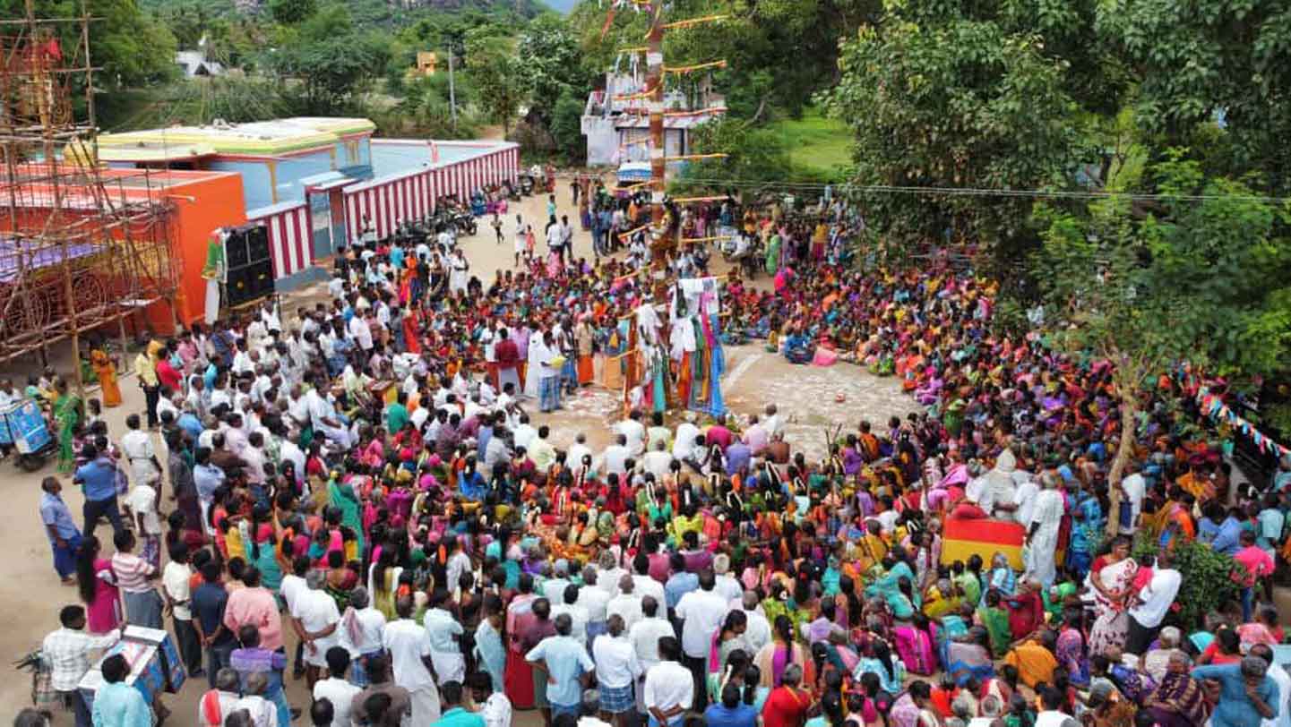 Tapasu tree climbing ceremony on the occasion of Agni Vasantha festival ...