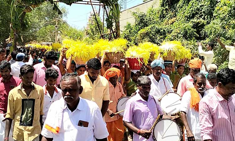 Mulaipari festival at Kanakampal temple | கனகாம்பாள் கோவிலில் ...