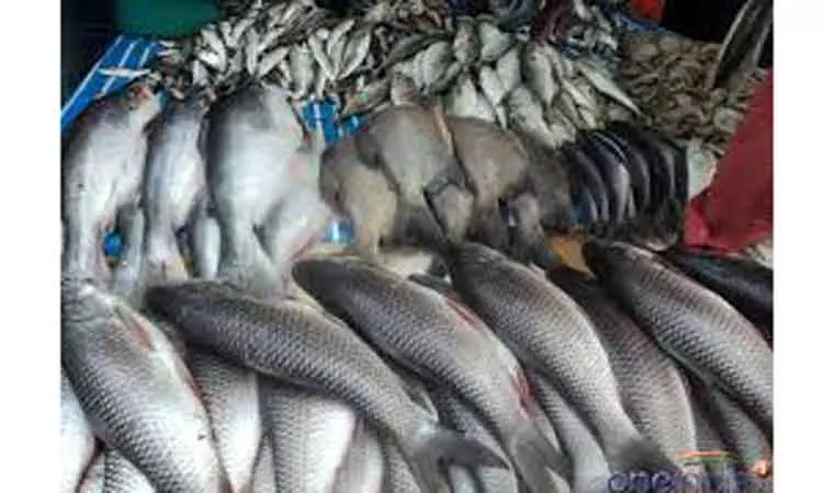 Fish price increase in Vellore market | வேலூர் மார்க்கெட்டில் மீன் விலை ...