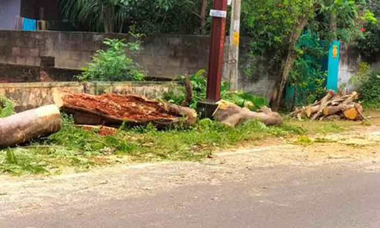 Daily Thanthi Complaint Box | தினத்தந்தி புகார் பெட்டி