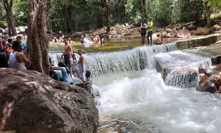 On the Kalakadu pillow Tourists are excited to bathe | களக்காடு ...