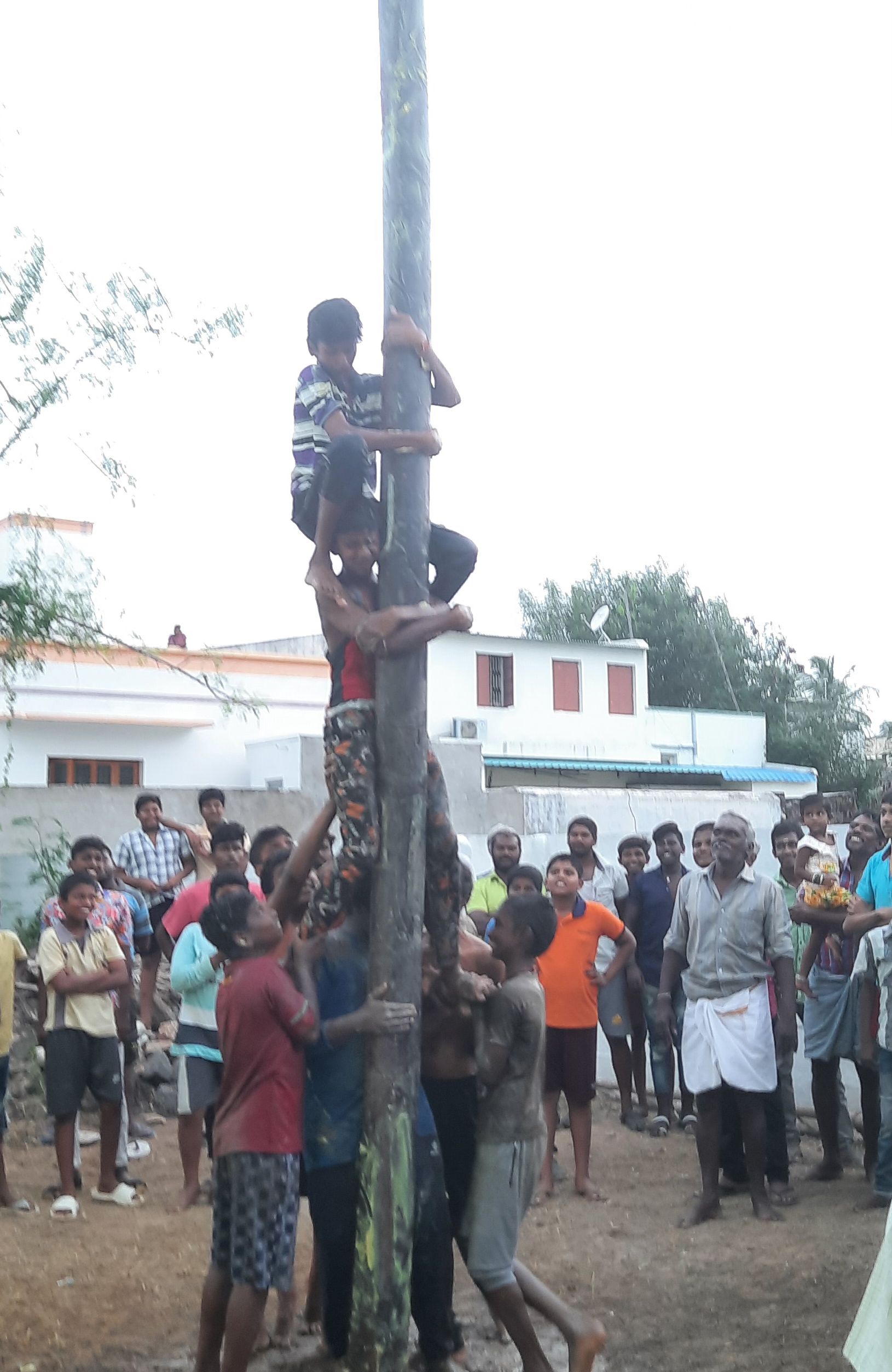 erumapati | எருமப்பட்டியில் வழுக்கு மரம் ஏறும் நிகழ்ச்சி