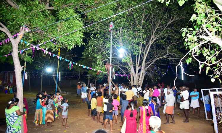 Bald tree climbing competition on Krishna Jayanti festival | கிருஷ்ண ...