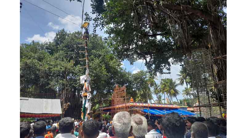 Tapas tree climbing event | தபசு மரம் ஏறும் நிகழ்ச்சி