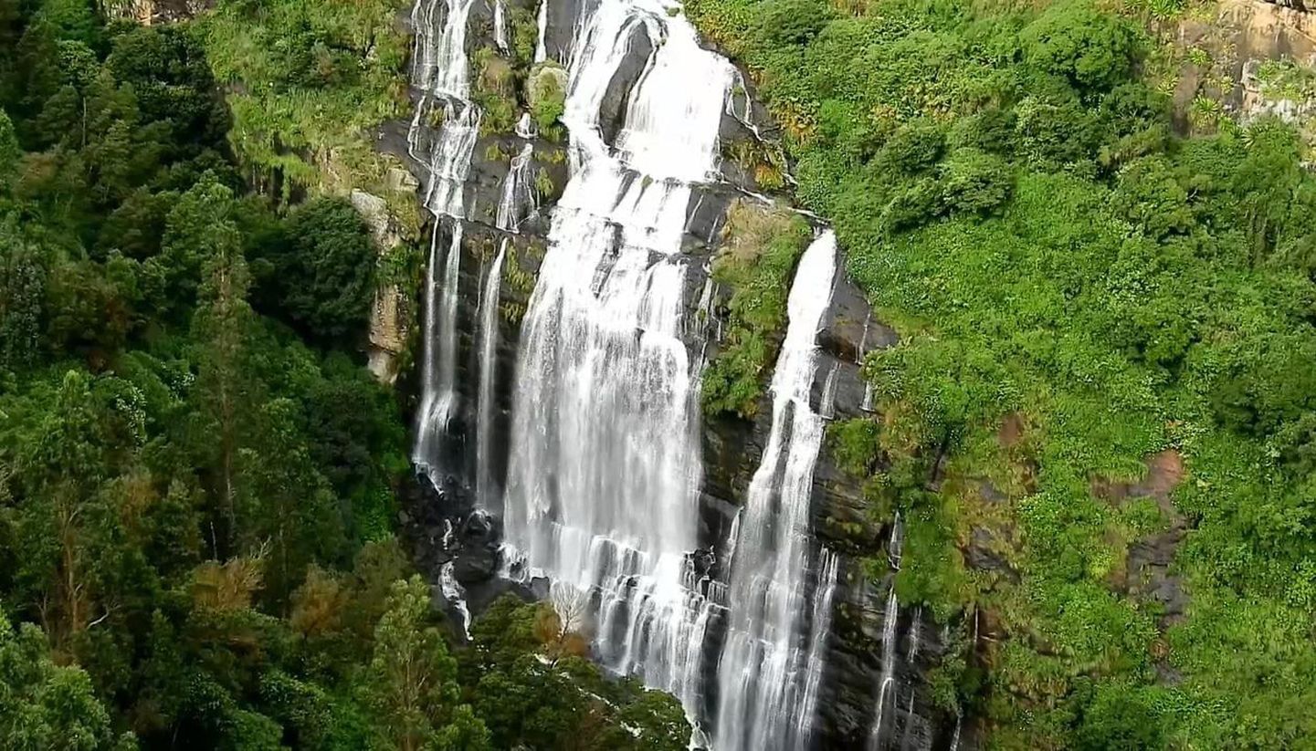 Water gushing in waterfalls | கொடைக்கானலில் அருவிகளில் ஆர்ப்பரித்து ...