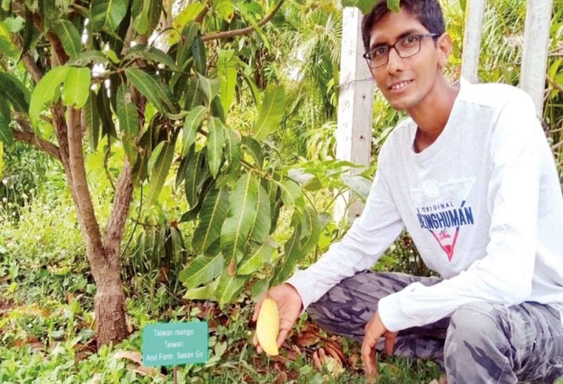 This Mango Museum Contains Over 230 Different Varieties of Mangoes ...