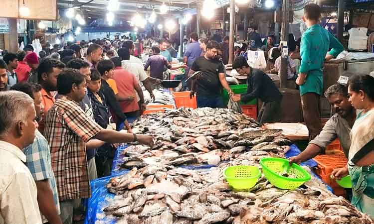Crowds of people at the fish market | மீன் மார்க்கெட்டில் அலைமோதிய மக்கள்