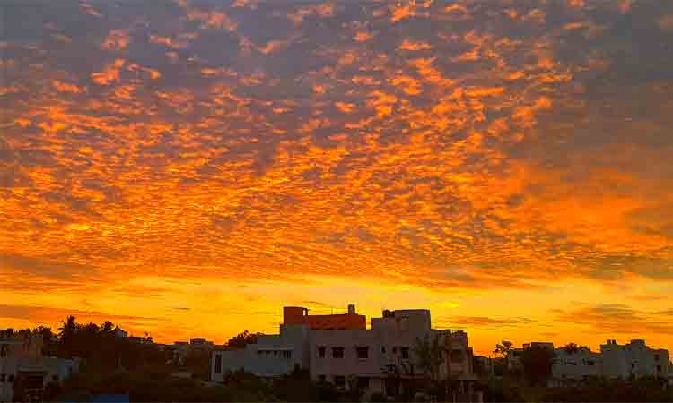 The sky is full of joy | ெஜாலிக்கும் வானம்