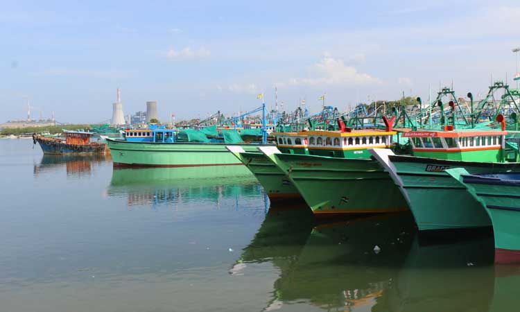 In Tuticorin, the powerboat fishermen did not go to sea ...