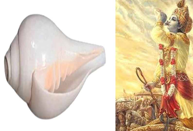 Paal sangu | பால் சங்கு தரும் பலன்கள்