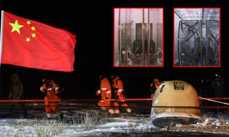 Chinese scientists achieve success by growing rice in space ...