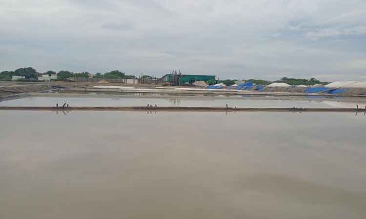 Rainwater stored in salt pans | உப்பளங்களில் தேங்கிய மழைநீர்