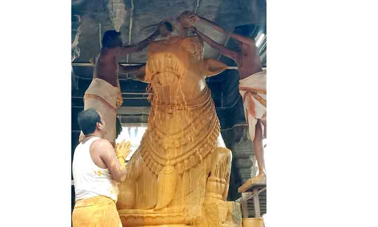 Pournami Krivalam starts tomorrow evening | பவுர்ணமி கிரிவலம் நாளை மாலை ...