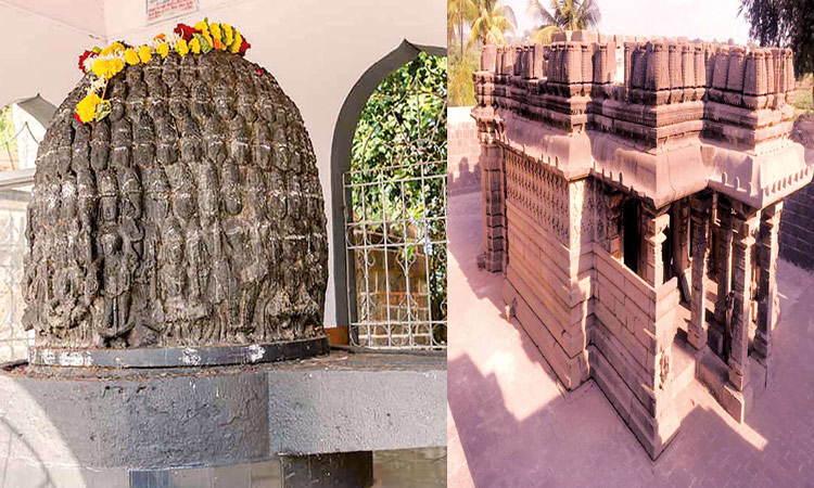 Panchamukha Lingam | ஹரிஹரேஸ்வரர் திருக்கோவில் 'பகுமுகி' லிங்கம்