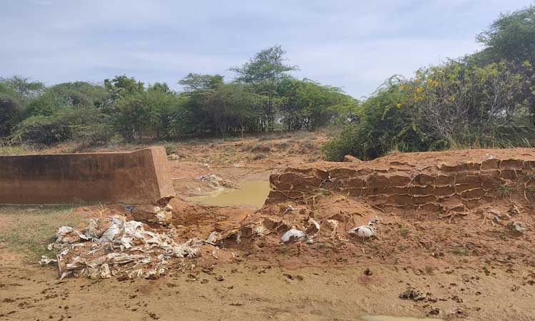 In the Karumeni River Waterway Breaks will be repaired by: Public Works ...
