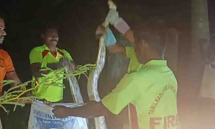 A 12 feet long python was caught | 12 அடி நீளமுள்ள மலைப்பாம்பு பிடிபட்டது