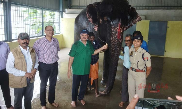 Srivilliputhur Andal Temple Elephant Attack Case - Assam Forest Department Investigation ...