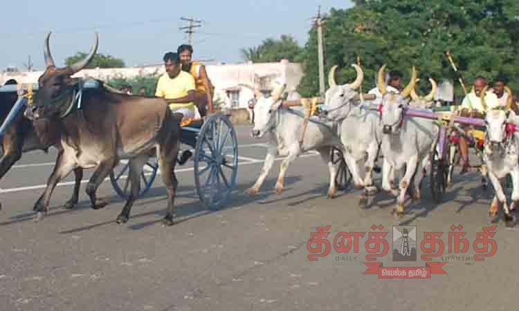 Bullock cart racing | மாட்டு வண்டி பந்தயம்