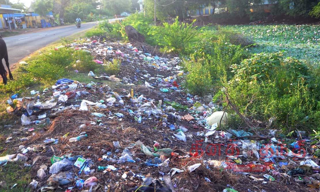 airborne debris; Bicyclists suffer | காற்றில் பறக்கும் குப்பைகள் ...