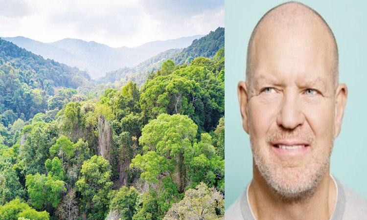 Billionaire Chip Wilson donates $76 million to preserve forest land in ...