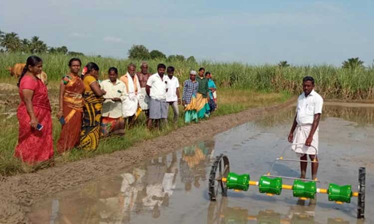 Direct seeding of paddy by machine | கருவி மூலம் நேரடி நெல் விதைப்பு