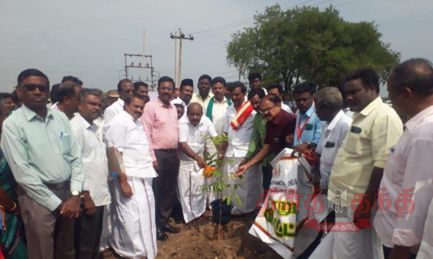 Plantation of 501 saplings under one tree per household scheme ...