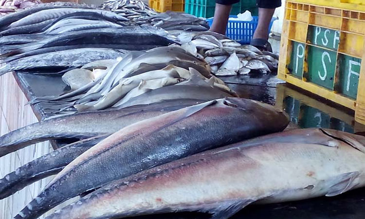 Arambakkam fish market to become hygienic store; Will the panchayat ...