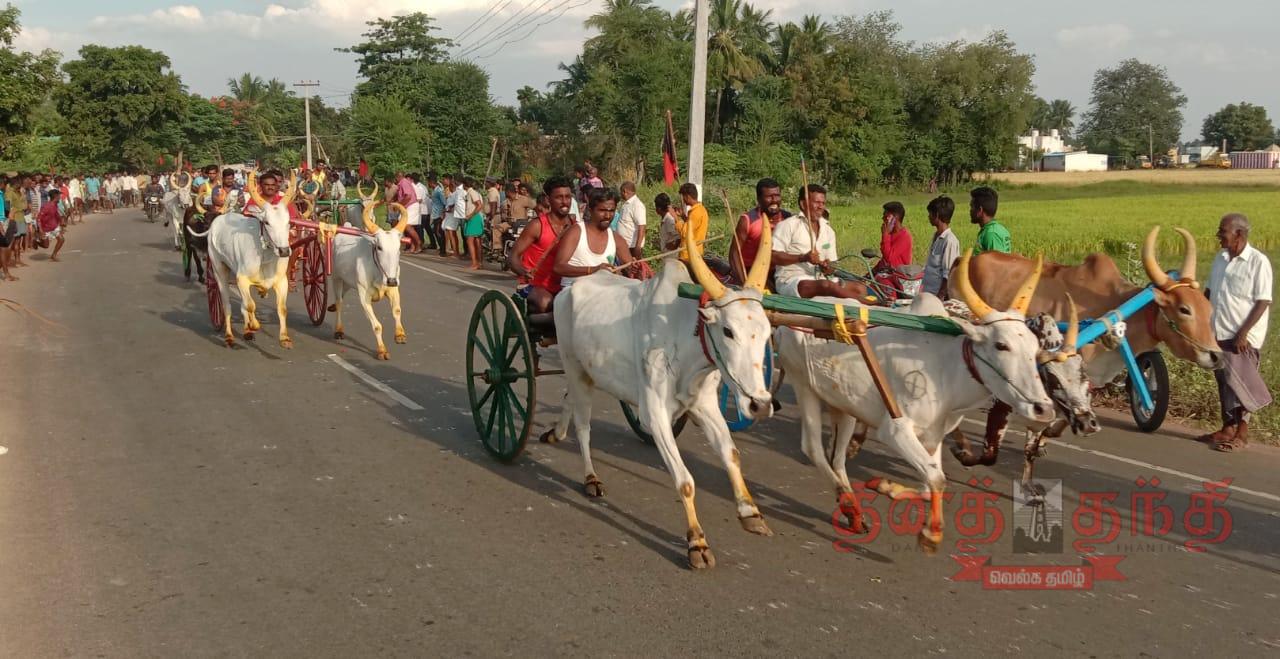 Bullock cart racing | மாட்டு வண்டி பந்தயம்