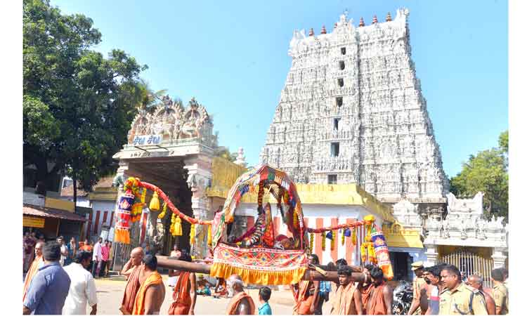 Nandai Amman idol Susindra came | முன்னுதித்த நங்கை அம்மன் சிலை ...