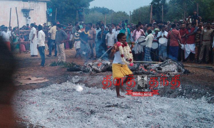 Thimiti Festival of Goddess Draupadi Temple | திரவுபதி அம்மன் கோவில் ...