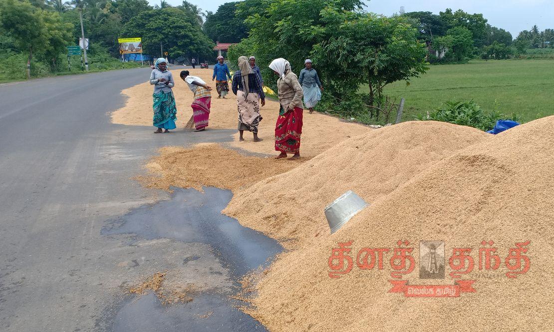 Farmers throw the harvested paddy on the road to dry | அறுவடை செய்த ...